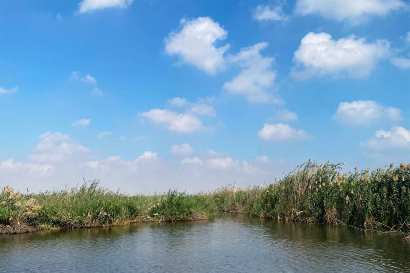 Visit the Jahra Nature Reserve – 2:48AM – Entertaining Kuwait since 2003