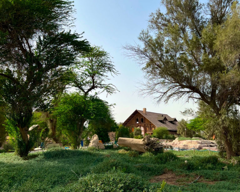 The Little Jungle – 2:48AM – Entertaining Kuwait since 2003