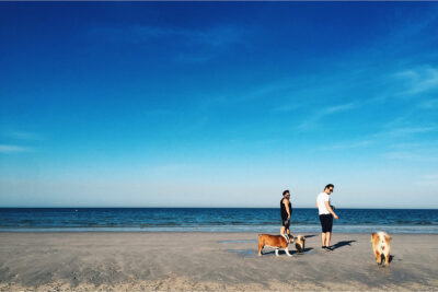 2:48AM – Everything Kuwait – Everything Kuwait