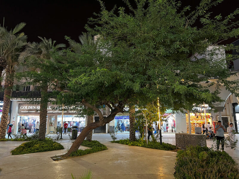 2:48AM – Everything Kuwait – Everything Kuwait