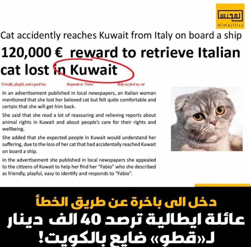 Fabio the Cat wasn’t Real – 2:48AM – Entertaining Kuwait since 2003