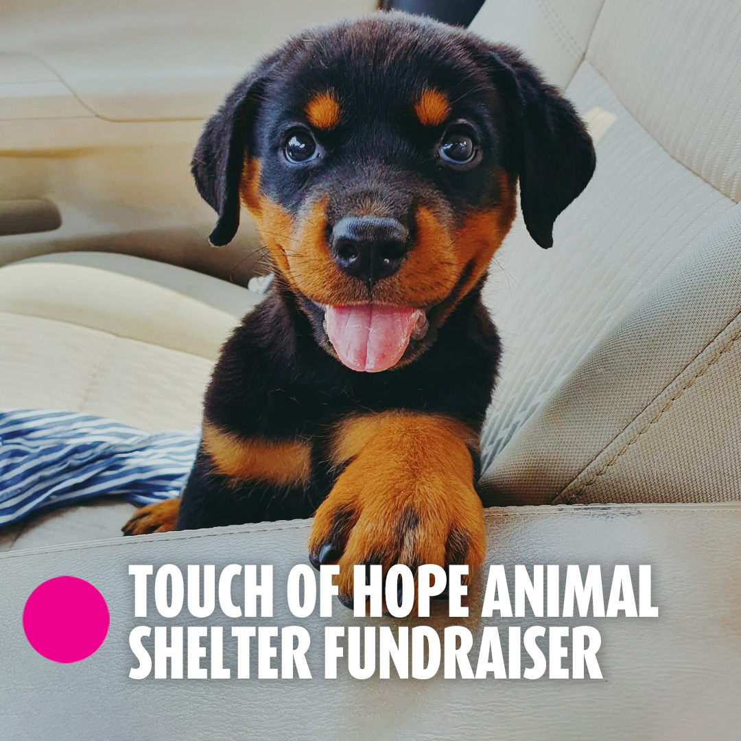Touch of Hope Animal Shelter Fundraiser – 2:48AM – Entertaining Kuwait ...