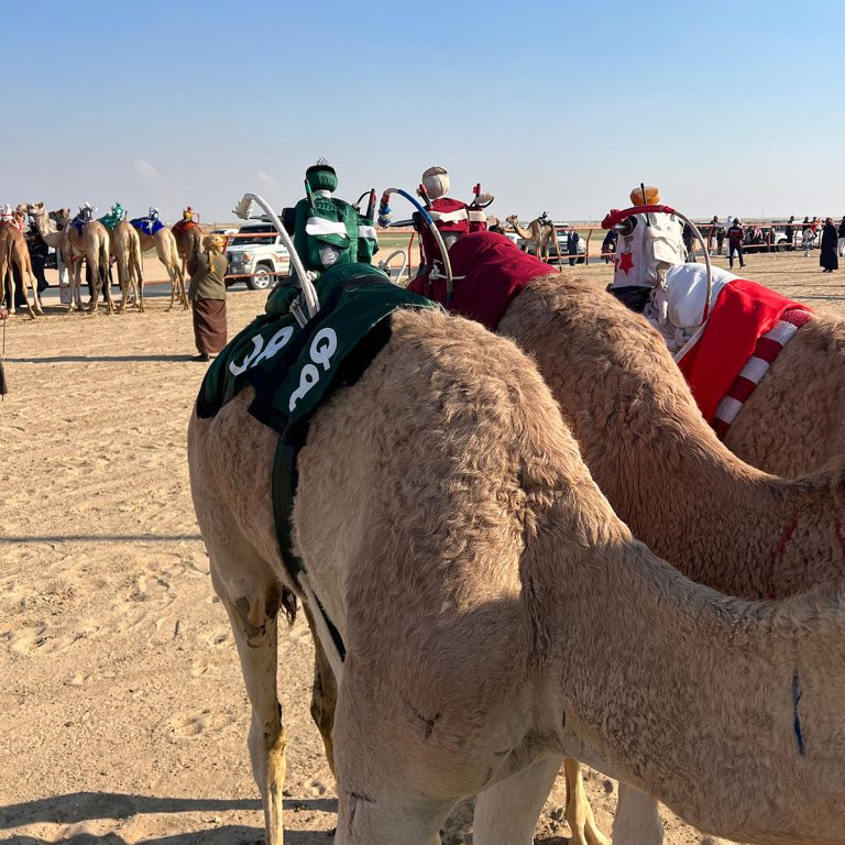 Things to do – 2:48AM – Entertaining Kuwait since 2003