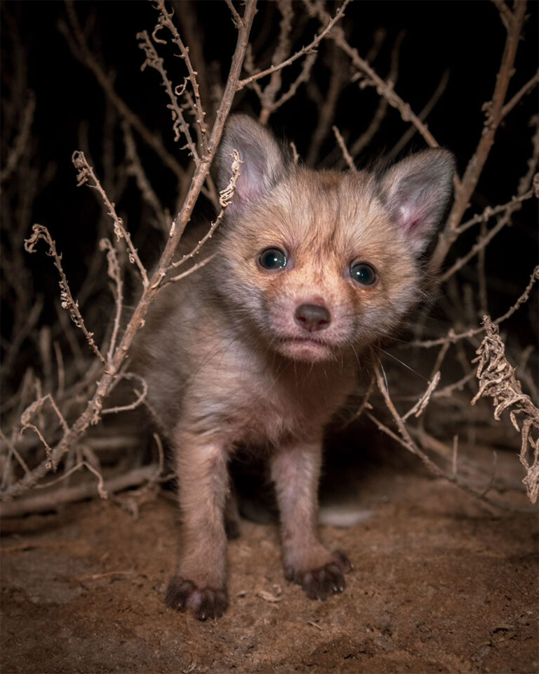 The Environment Public Authority (EPA) – 2:48AM – Entertaining Kuwait ...